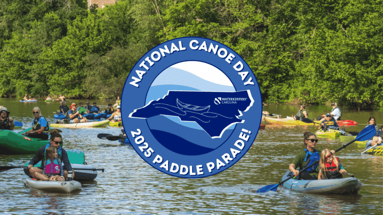 The 2025 Paddle Parade Is Here! Celebrate National Canoe Day with ...